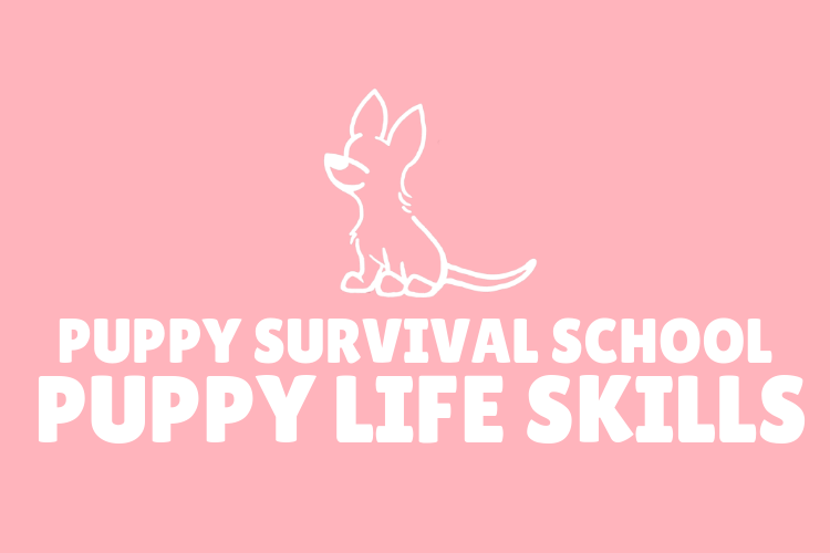 PS-LIFE-SKILLS.png – 3 Lost Dogs