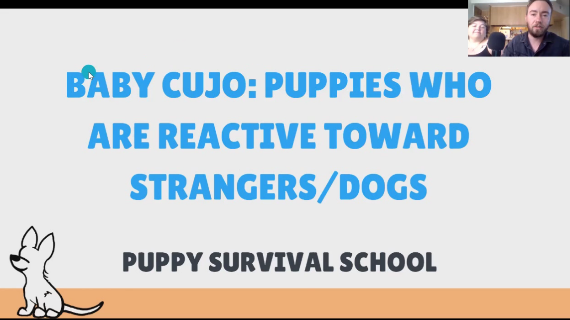 baby-cujo-webinar-thumbnail.png – 3 Lost Dogs